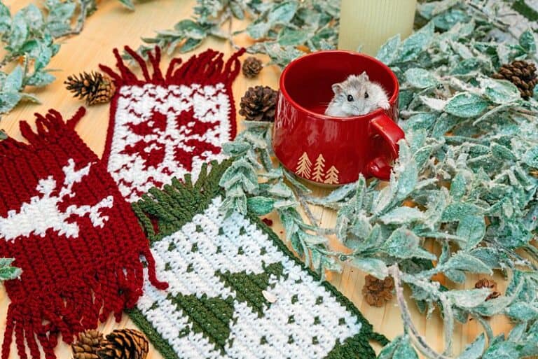 How to Crochet a Coaster / Mug Rug For Christmas - Briana K Designs